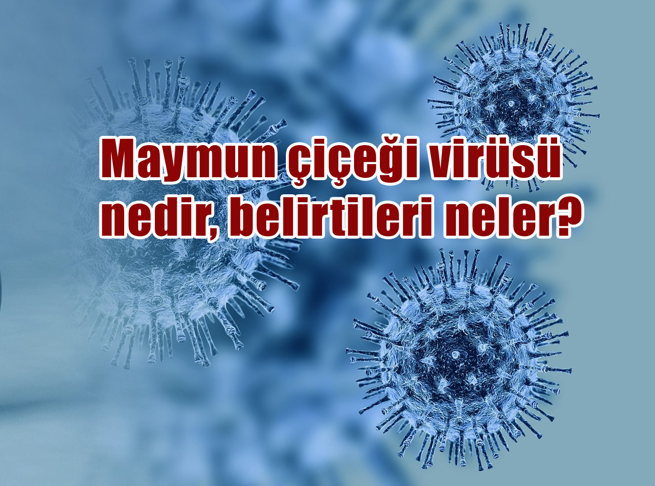 Maymun çiçeği virüsü nedir, belirtileri neler? - Turizm Avrupa