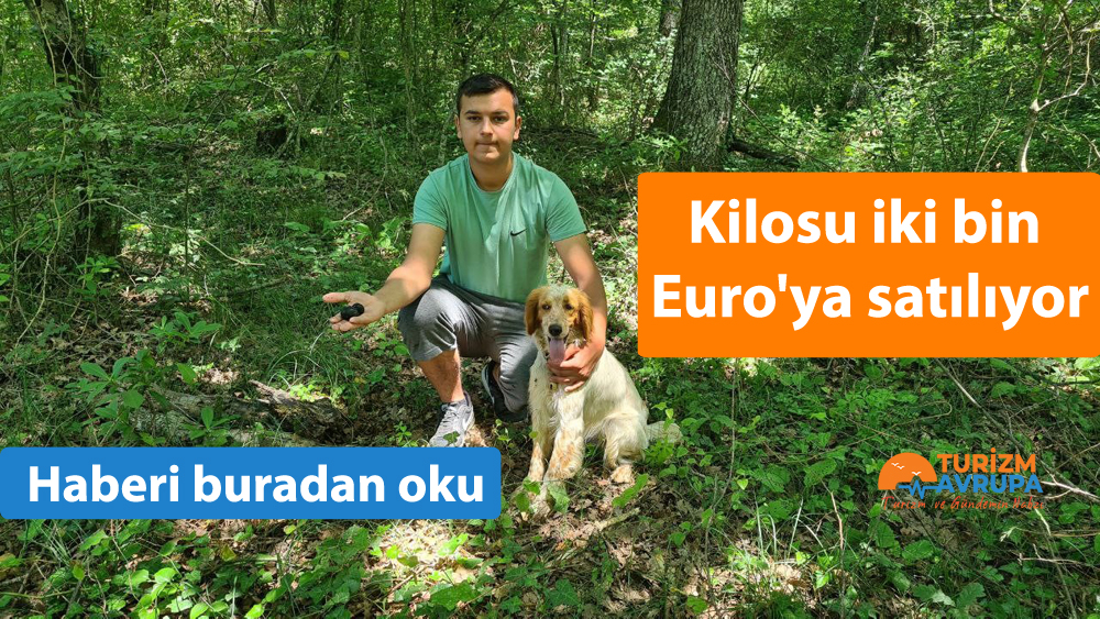 Kilosu iki bin Euro'ya satılıyor - Turizm Avrupa